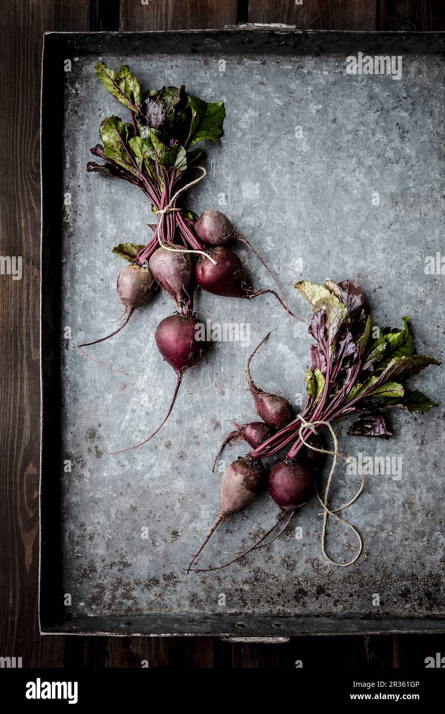 Bundles of timber hi-res stock photography and images - Alamy