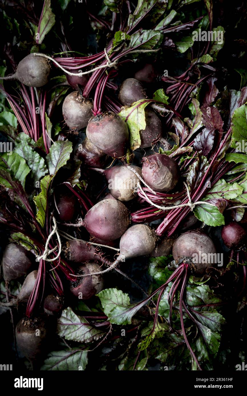 Bundles of beetroot with leaves Stock Photo - Alamy
