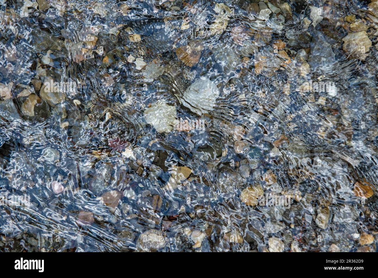 Rocks show through crystal clear water of a flowing lake in Banff Stock ...