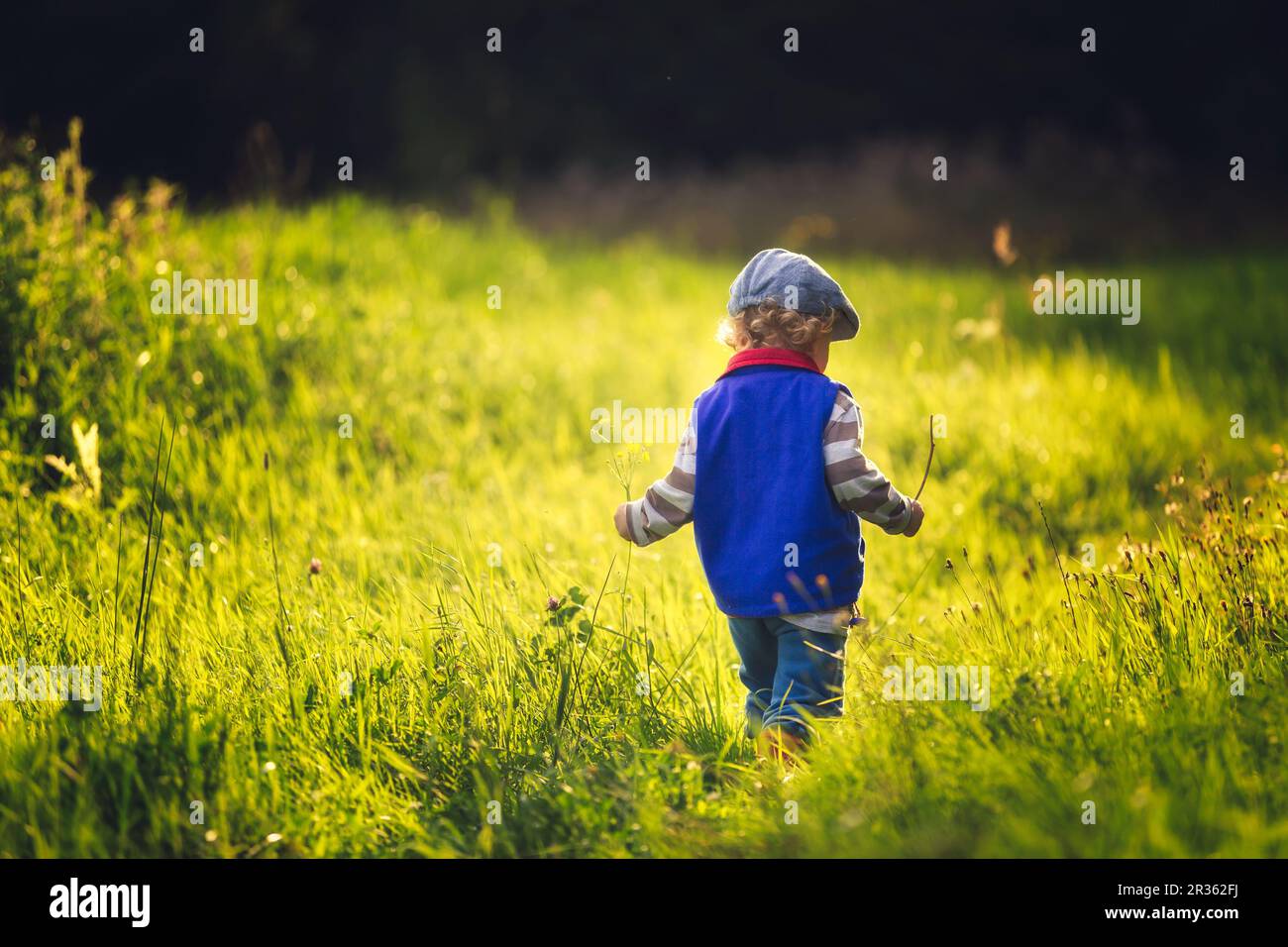 Little boy playing in nature. Caucasian boy and green landscape Stock ...