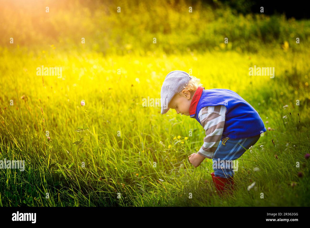 Little boy playing in nature. Caucasian boy and green landscape Stock ...