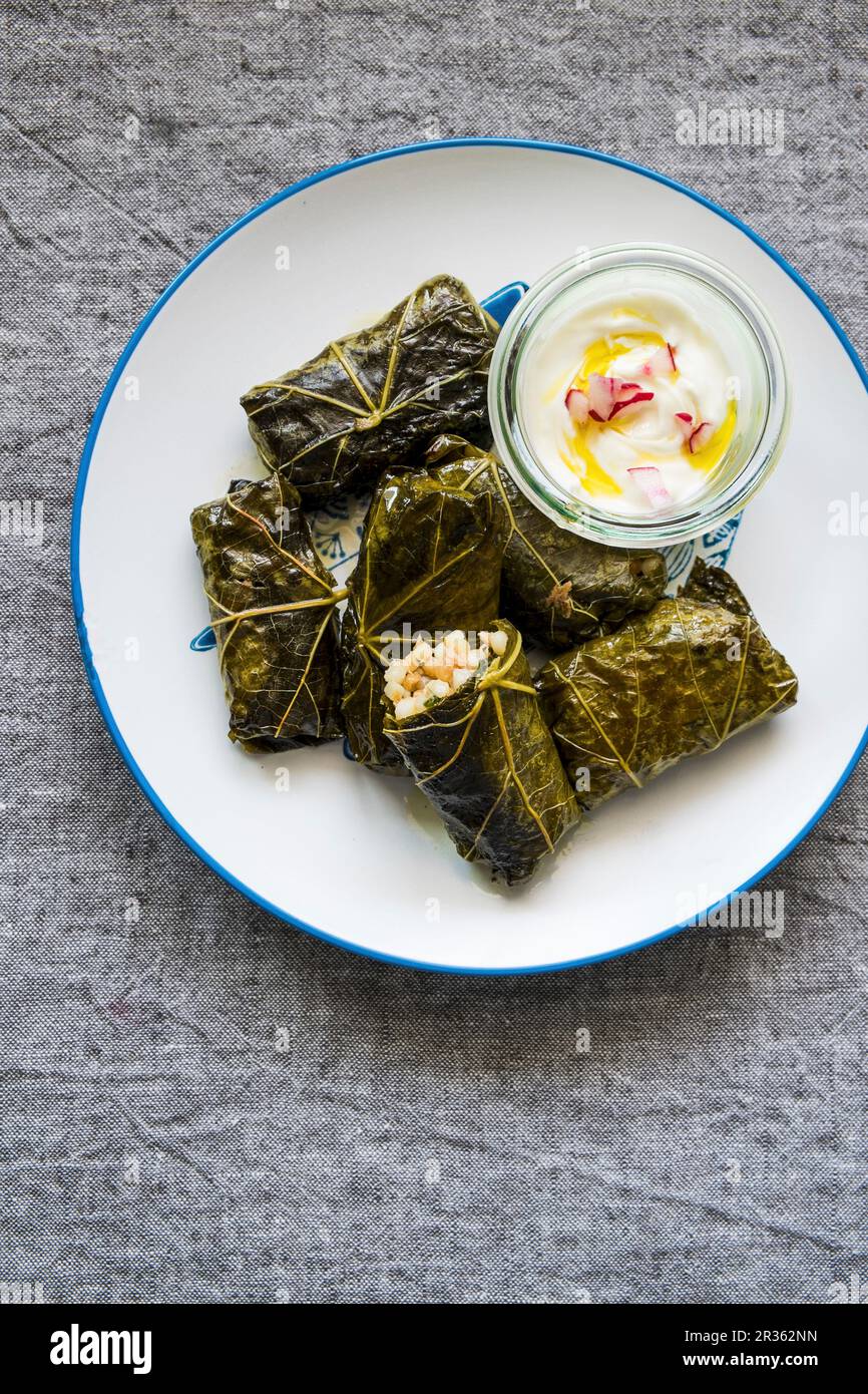 Stuffed vine leaves with a yoghurt dressing Stock Photo - Alamy
