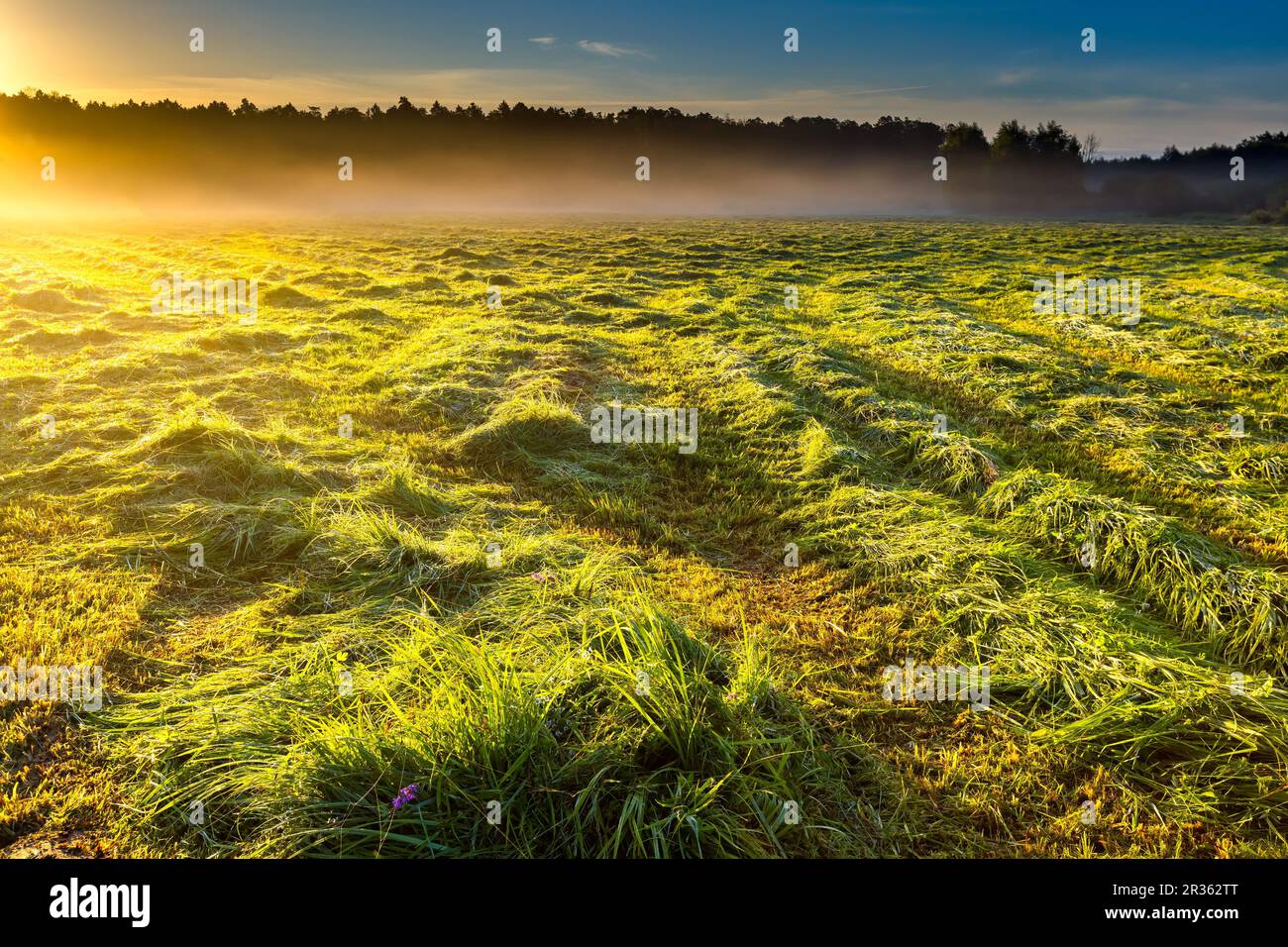 Peaceful scenic morning countryside landscape hi-res stock photography ...