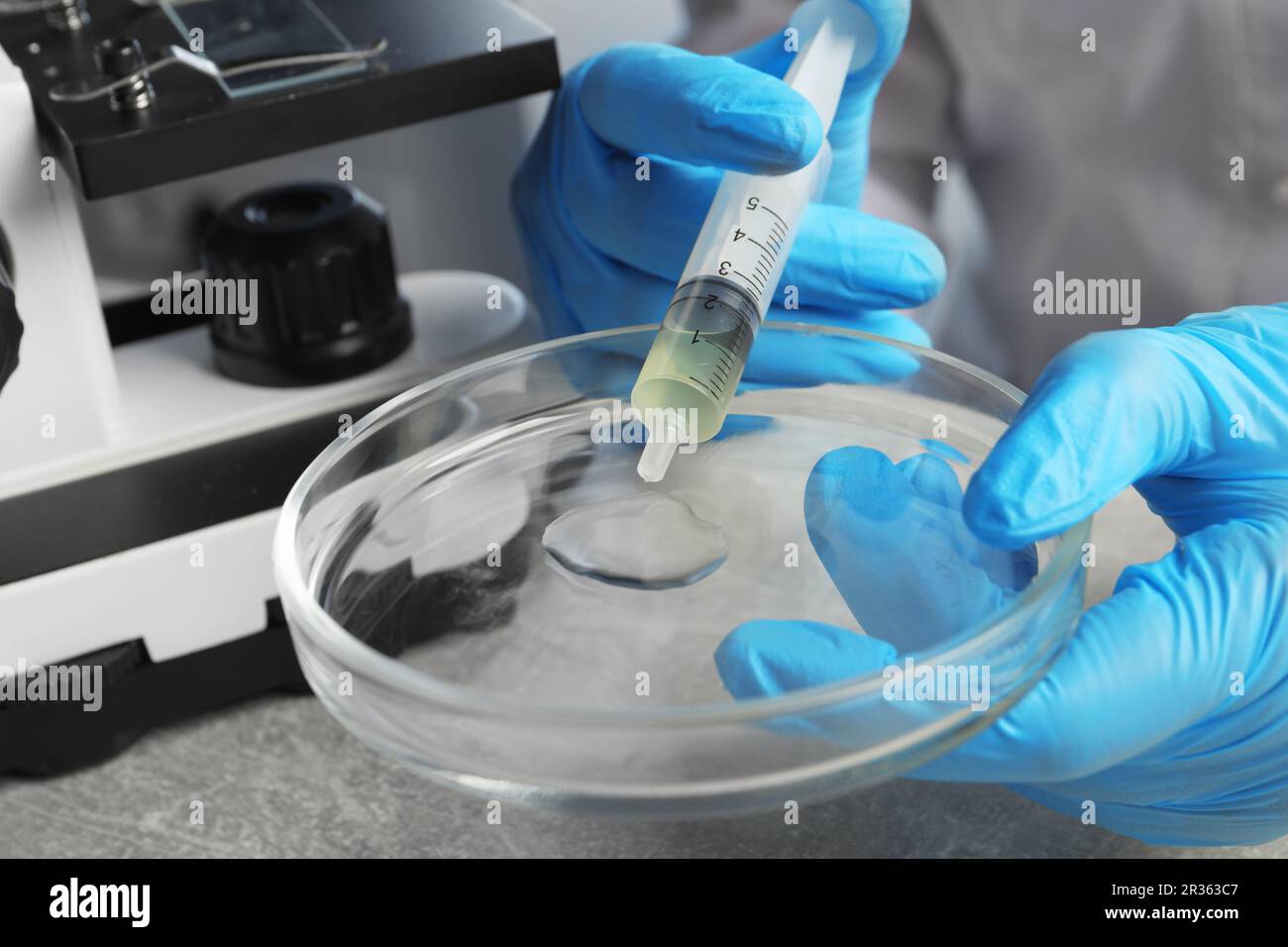 Doctor dripping urine from syringe into petri dish at grey table ...