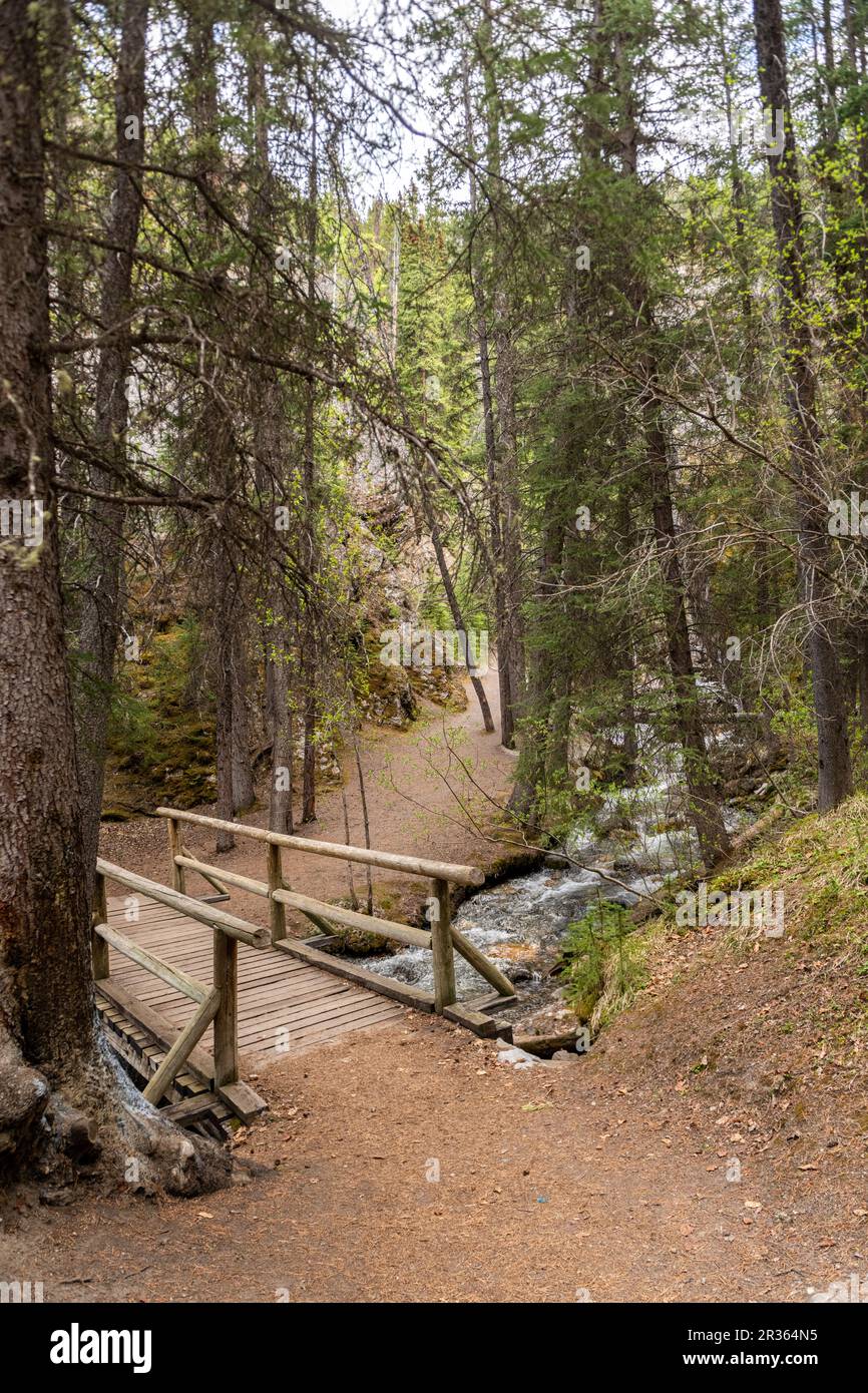 Wooden bridge over a water lake in a forest in Banff Canada Stock Photo ...