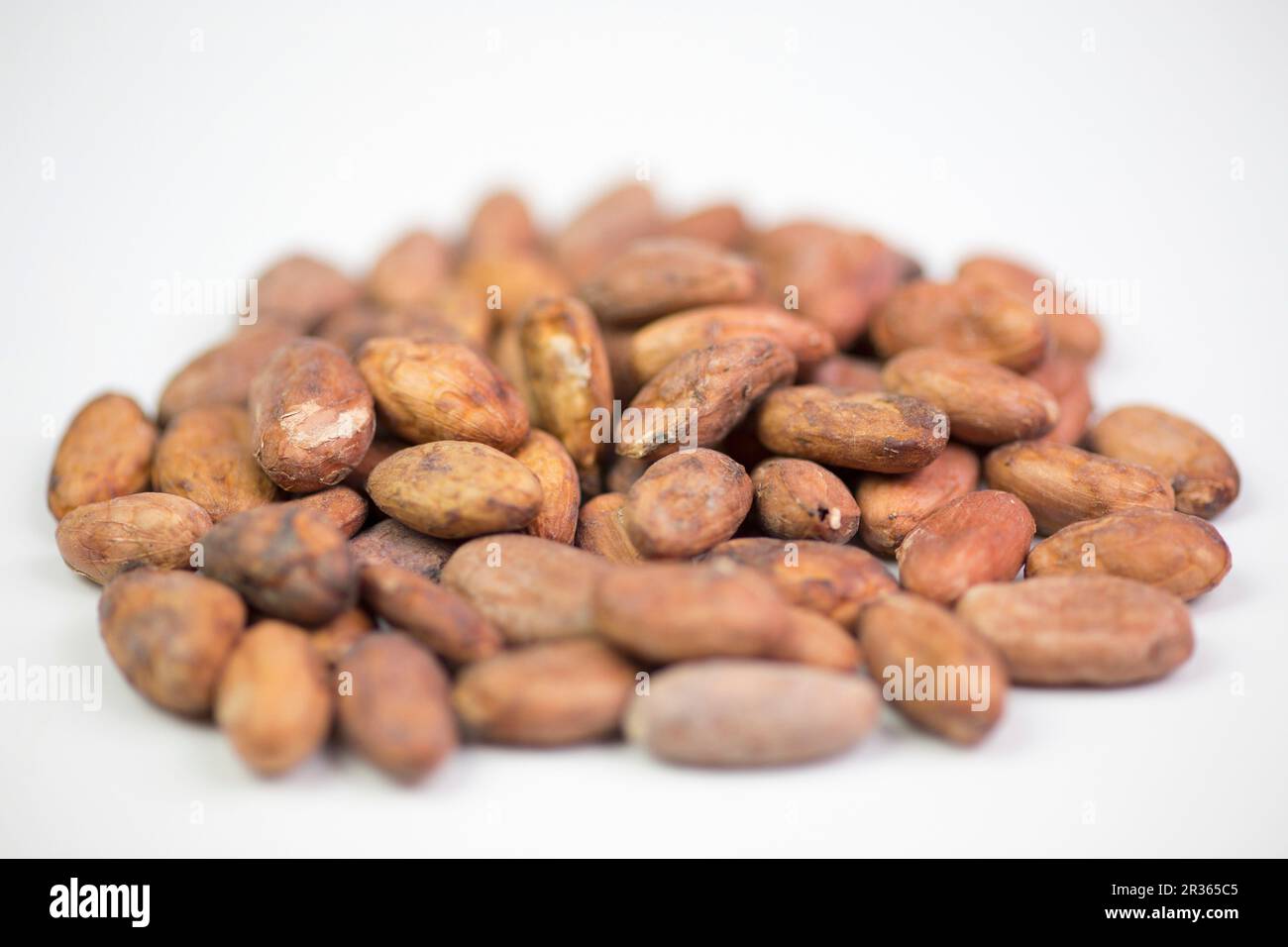 Cocao bean hi-res stock photography and images - Alamy