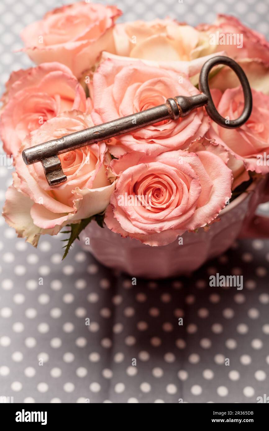 Wood key card hi-res stock photography and images - Alamy