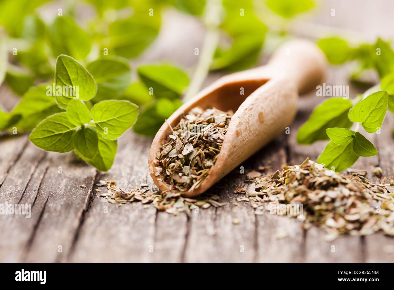 Dry oregano herb Stock Photo - Alamy