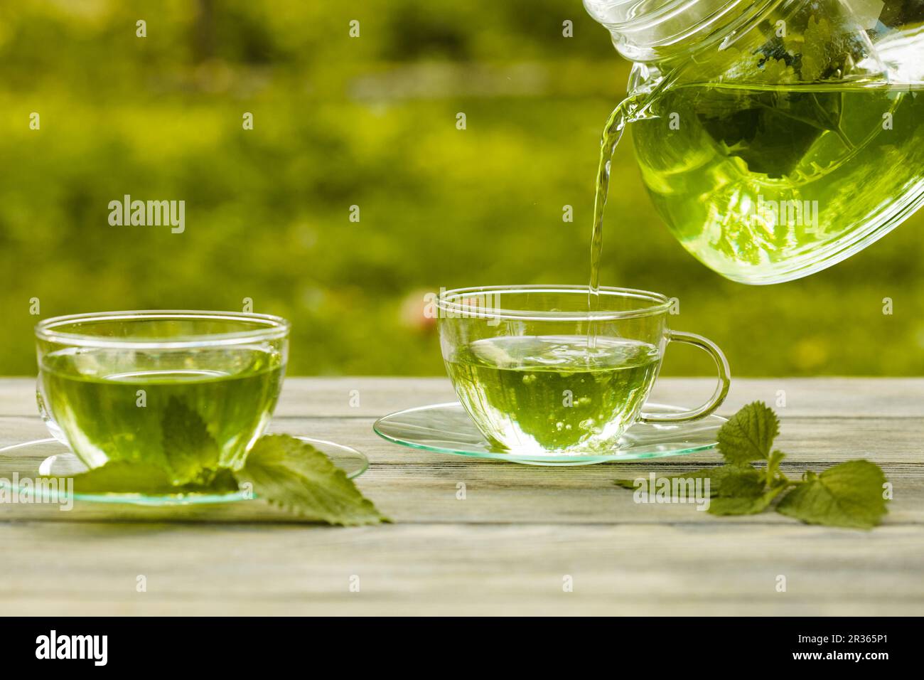 Melissa tea hi-res stock photography and images - Alamy