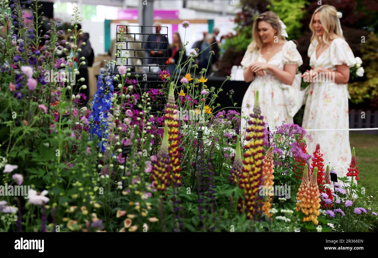 London, Britain. 22nd May, 2023. People visit the Royal Horticultural ...