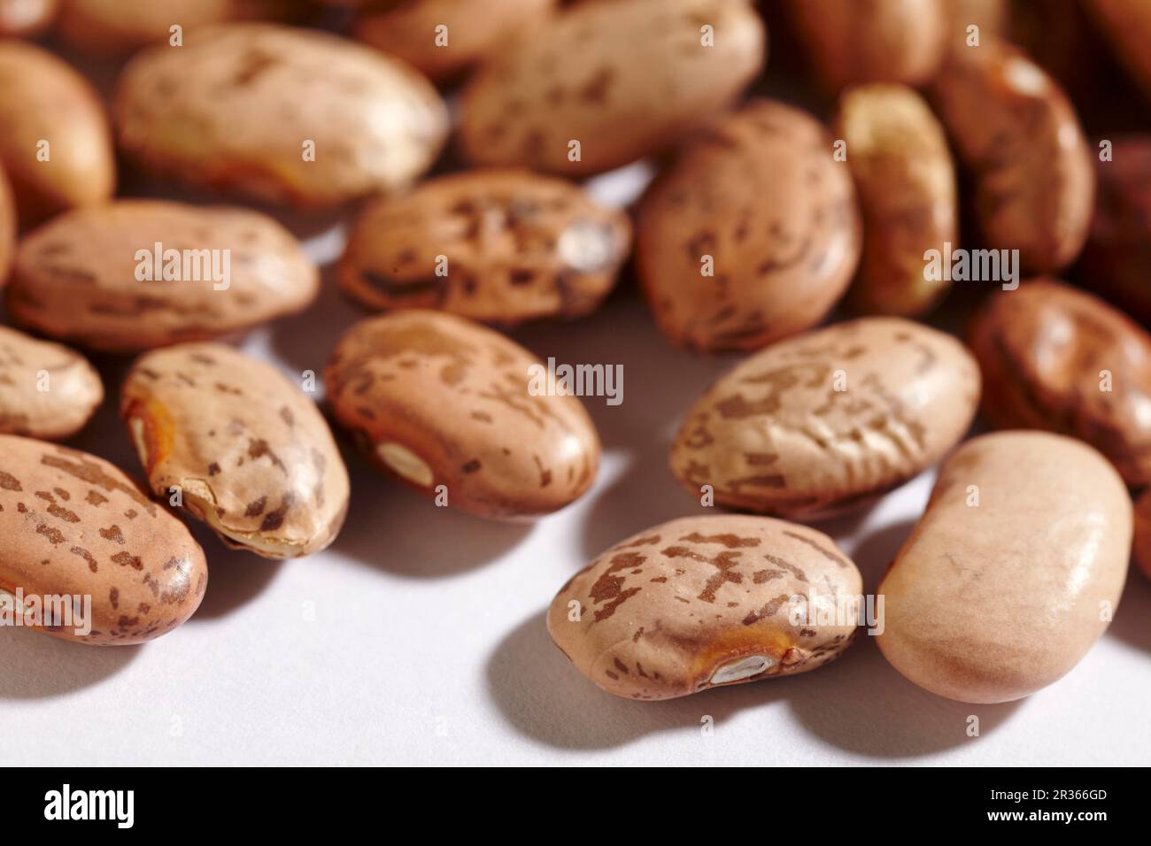 Whole, dried pinto beans Stock Photo - Alamy