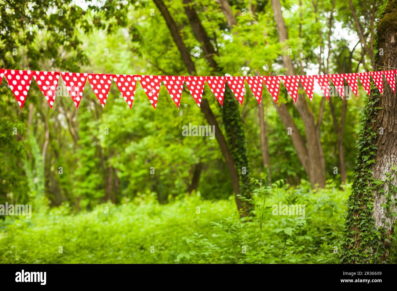 Red bunting flags Stock Photo - Alamy