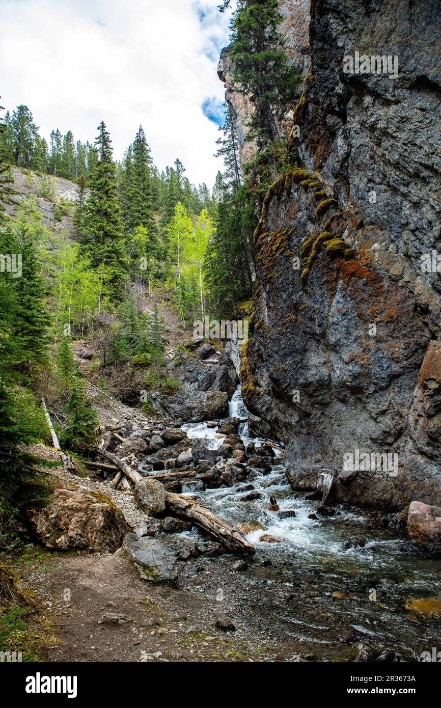 Aerial huge forest waterfall blue hi-res stock photography and images ...