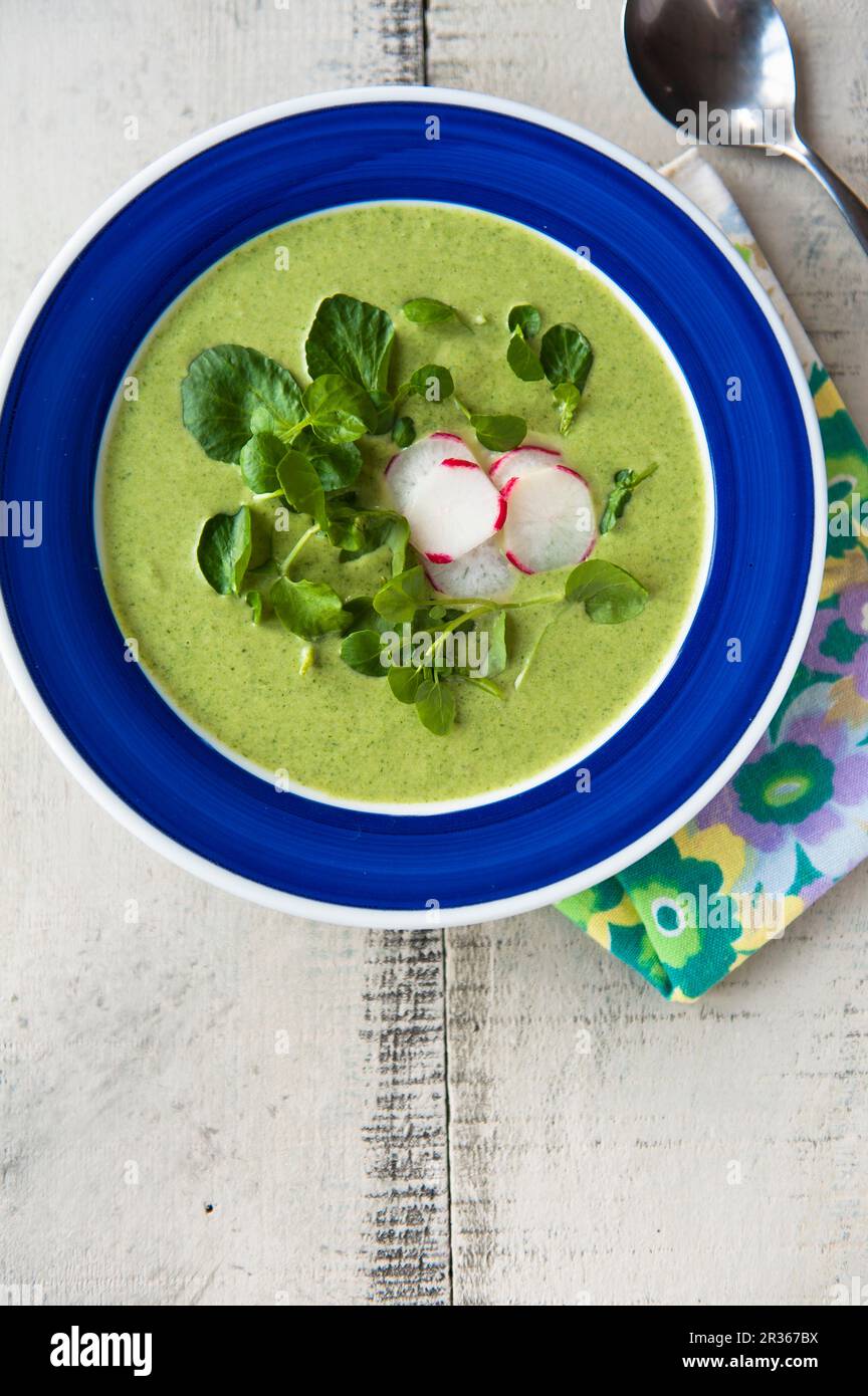 Spinach soup with radish slices Stock Photo - Alamy