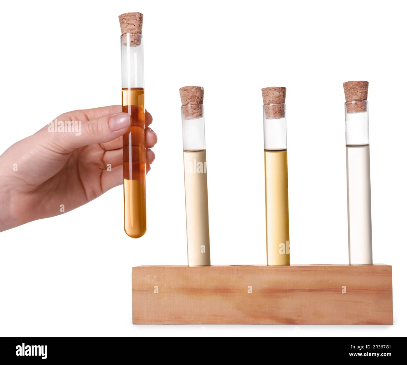 Woman taking test tube with light brown liquid from stand on white ...
