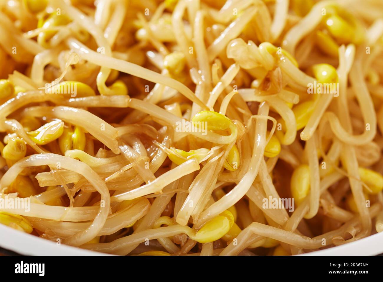 Soybean sprouts hi-res stock photography and images - Alamy