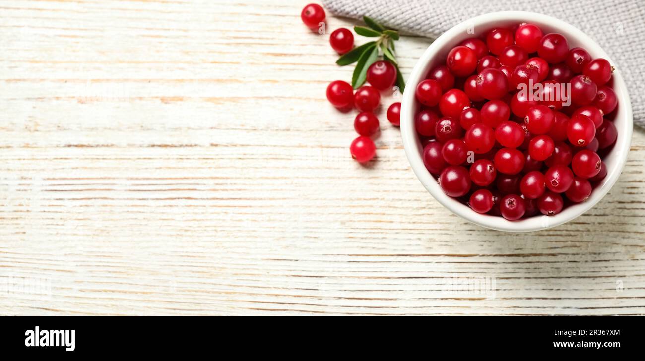 Tasty ripe cranberries on white wooden table, top view. Banner design ...