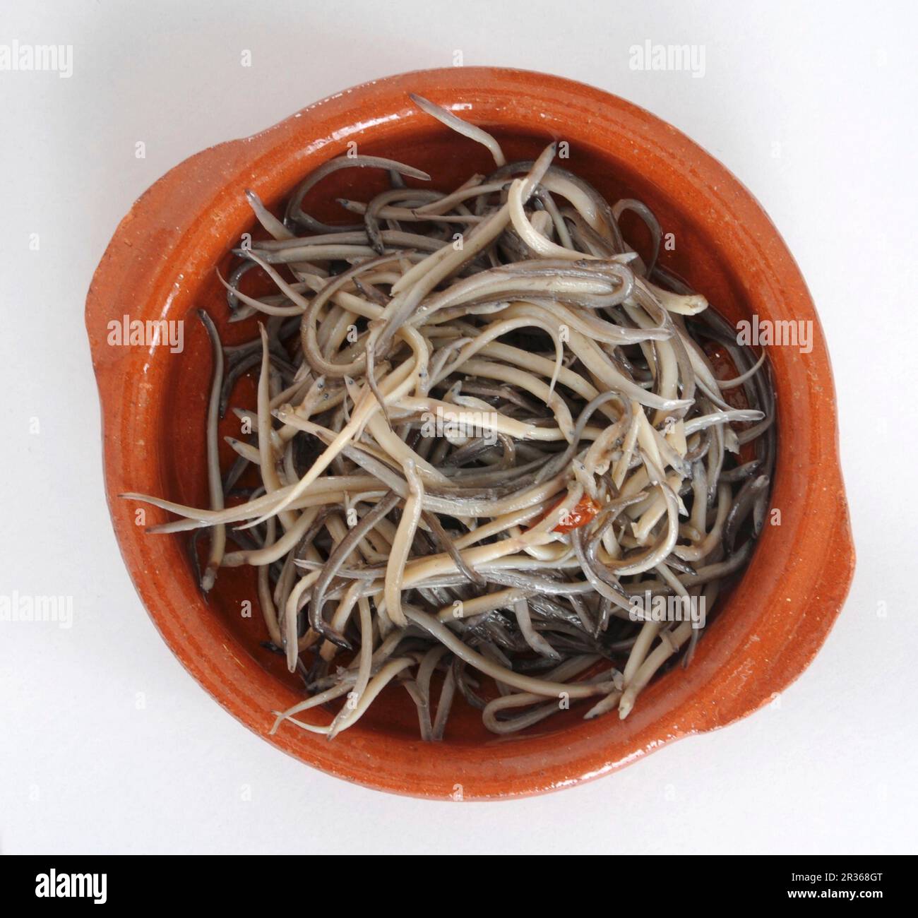 Glass eels dish hi-res stock photography and images - Alamy