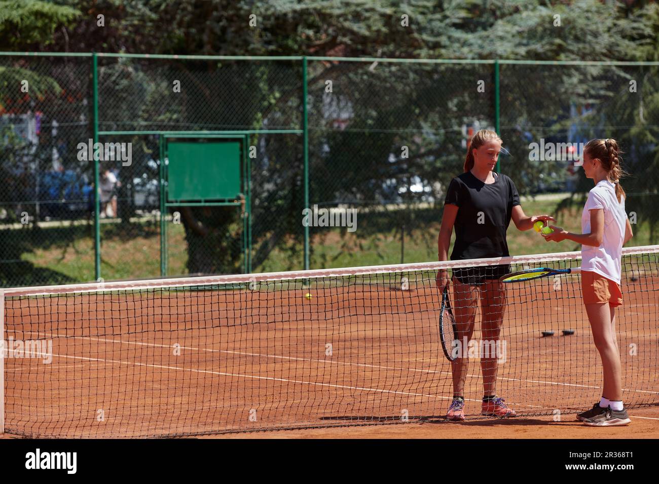 Tennis players standing together on the tennis court, poised and ...