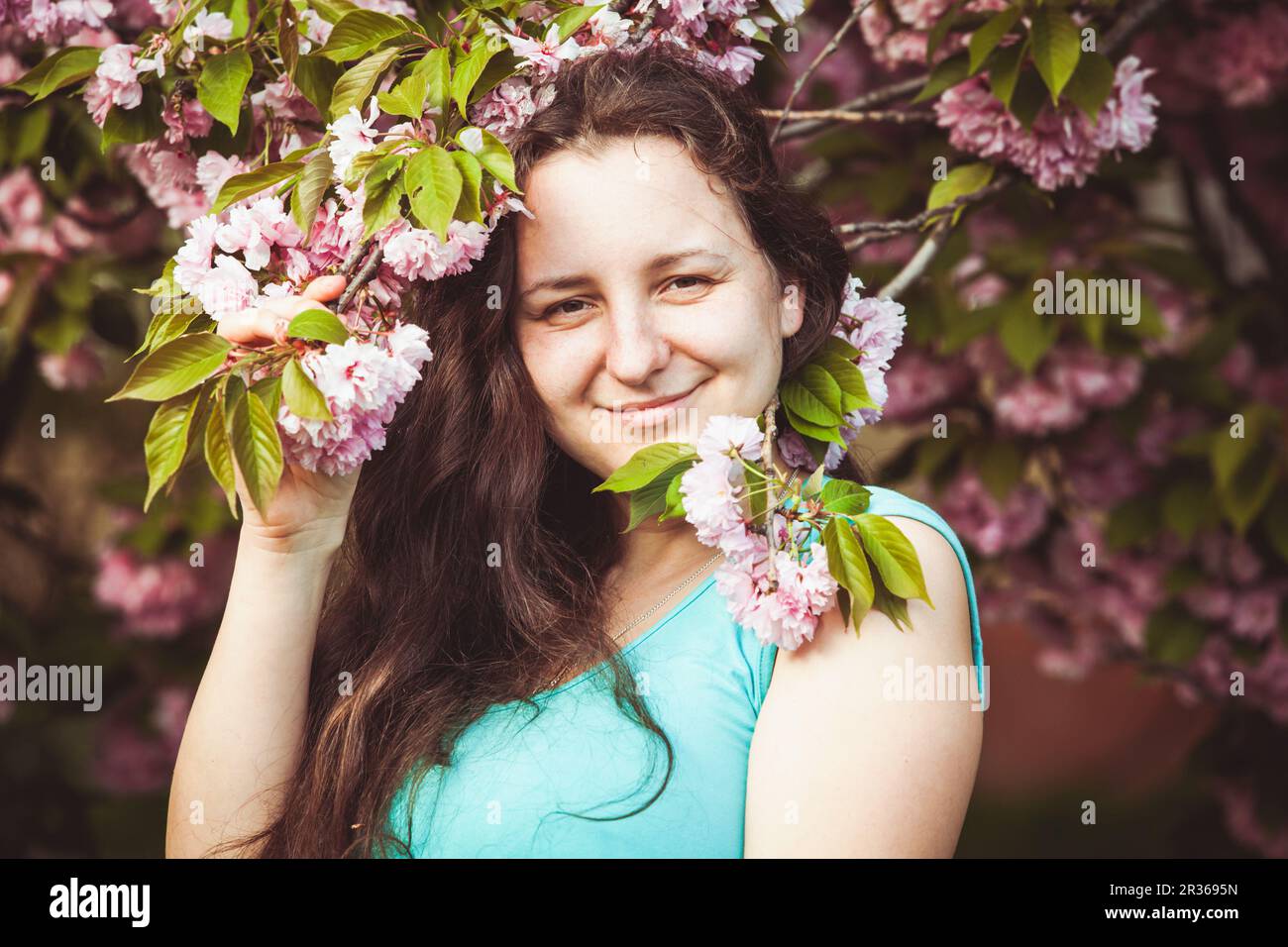 Usual flower hi-res stock photography and images - Alamy