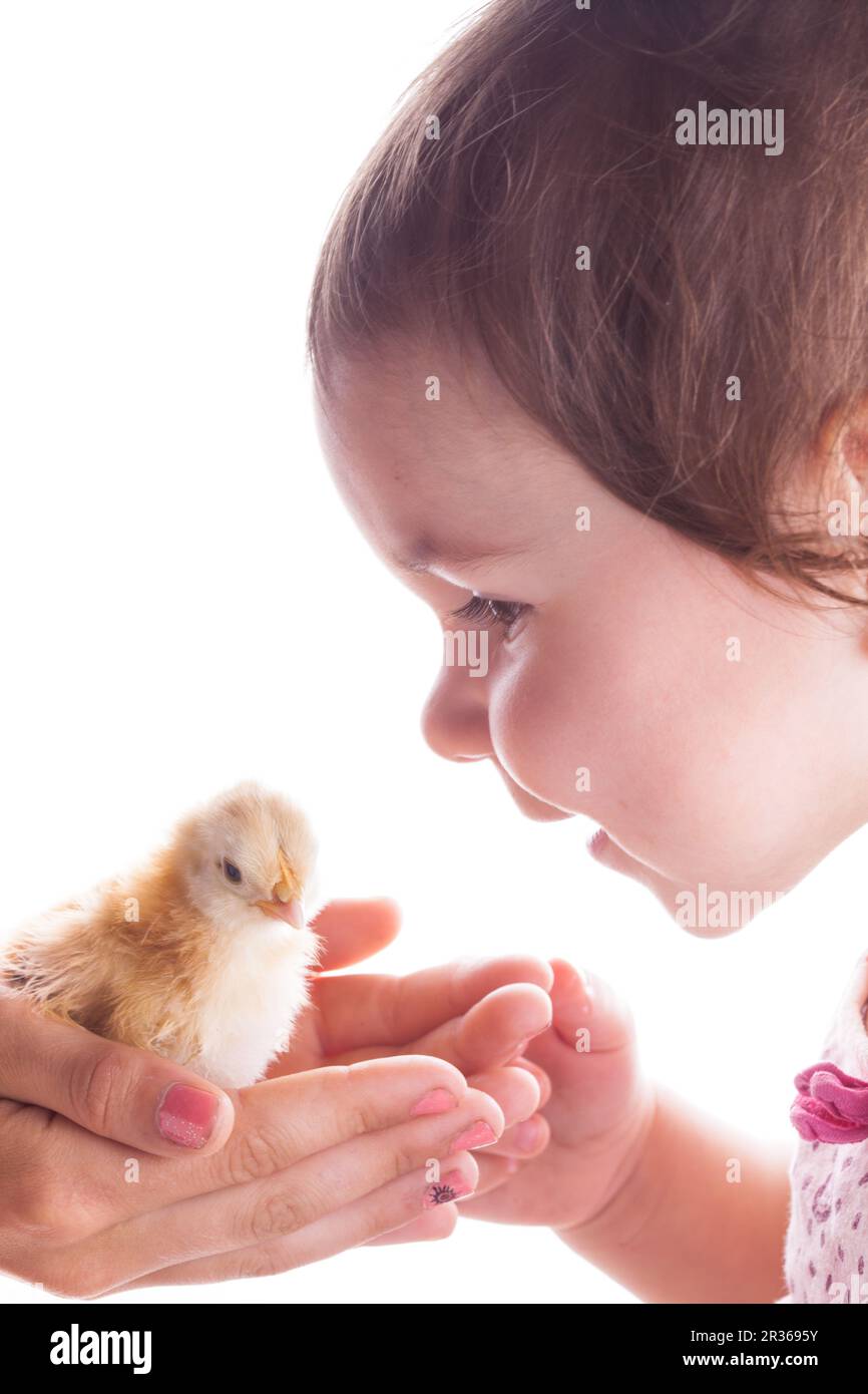 Happy child and little chicken Stock Photo - Alamy