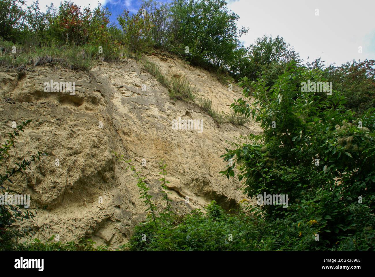Black forest region germany hi-res stock photography and images - Alamy