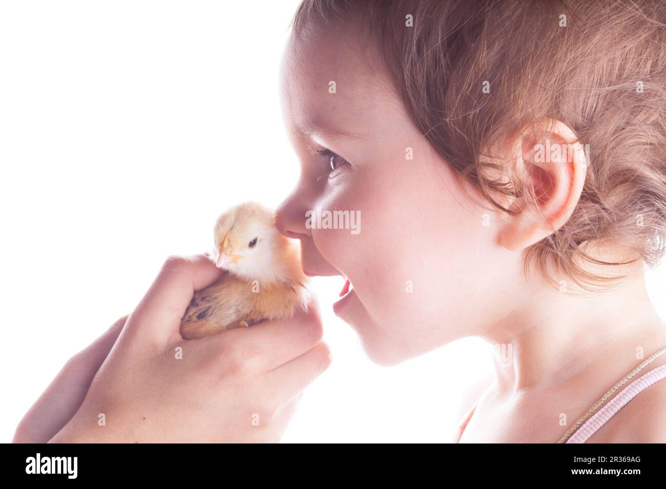 Child laughing animal hi-res stock photography and images - Alamy