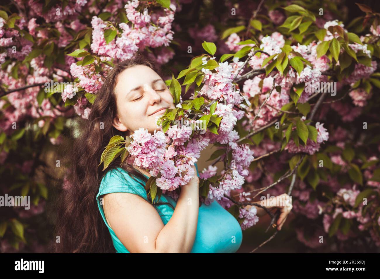 Usual flower hi-res stock photography and images - Alamy