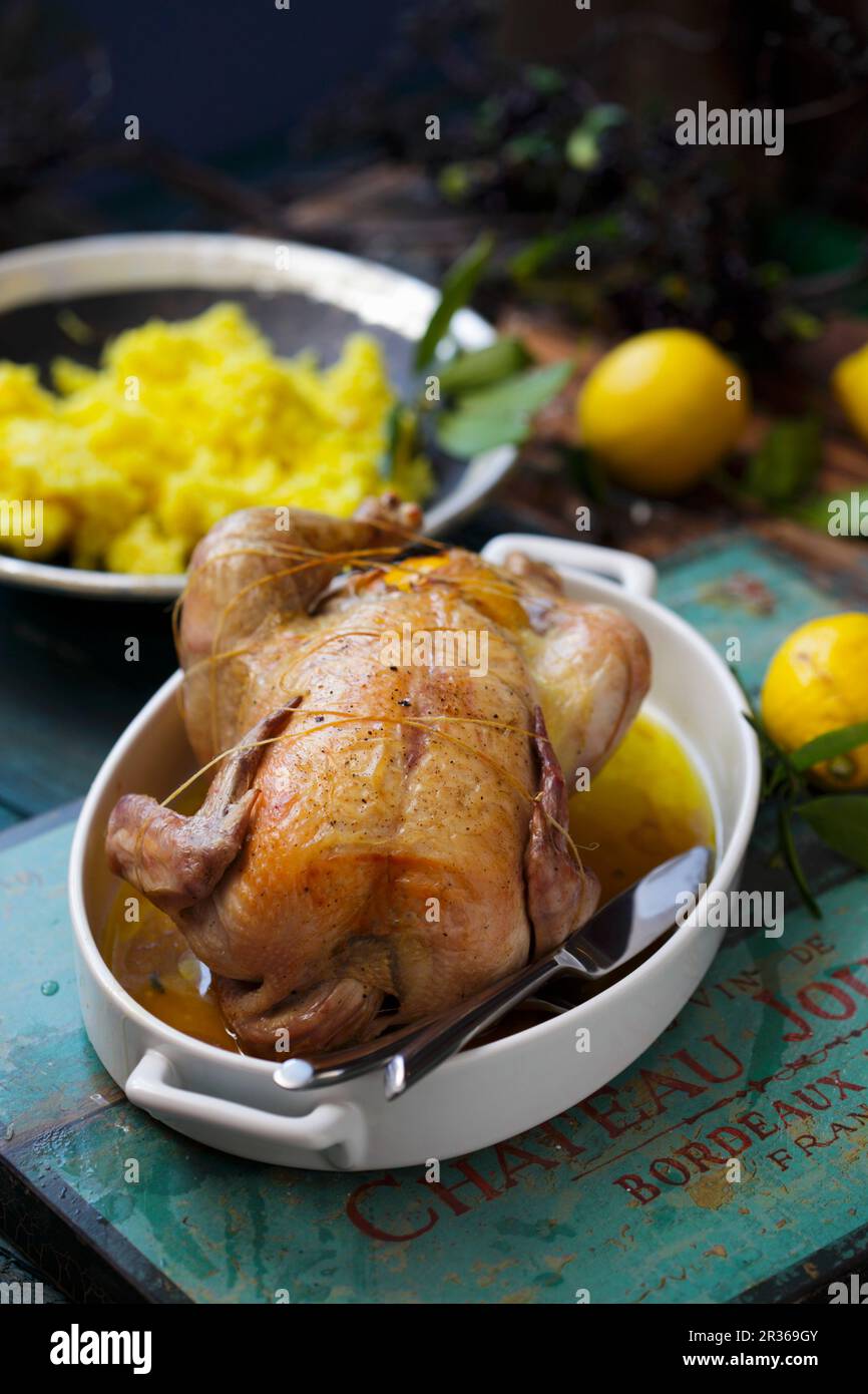 Tied up chicken hi-res stock photography and images - Alamy