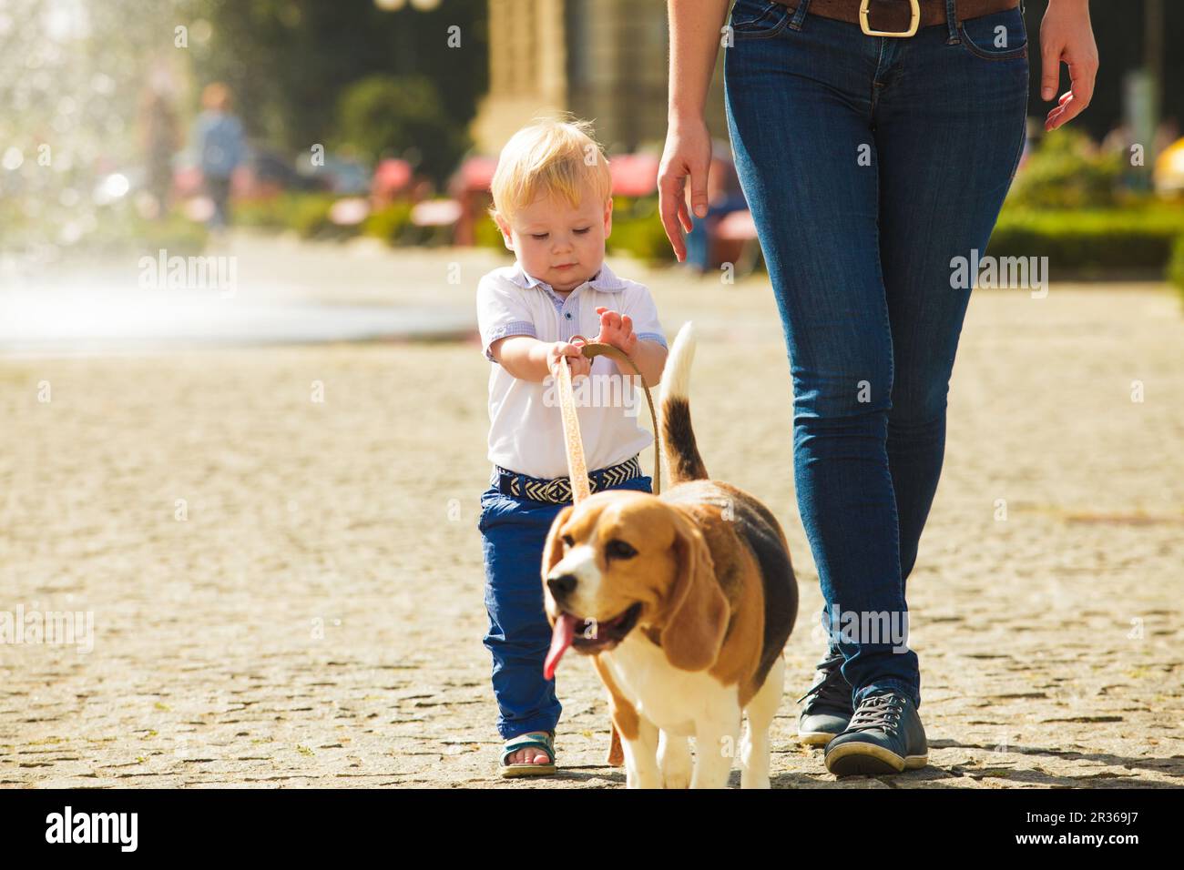 Boy walking dog hi-res stock photography and images - Alamy