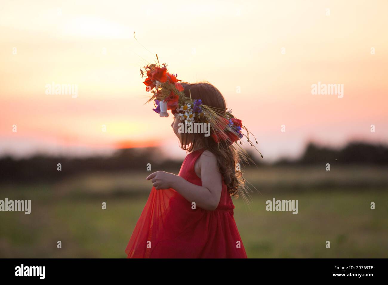 Dancing poppy hi-res stock photography and images - Alamy