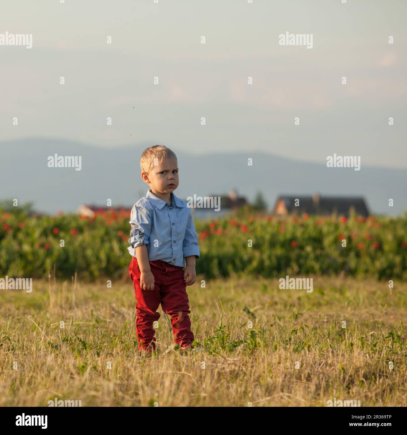 Portrait cute little boy hi-res stock photography and images - Alamy