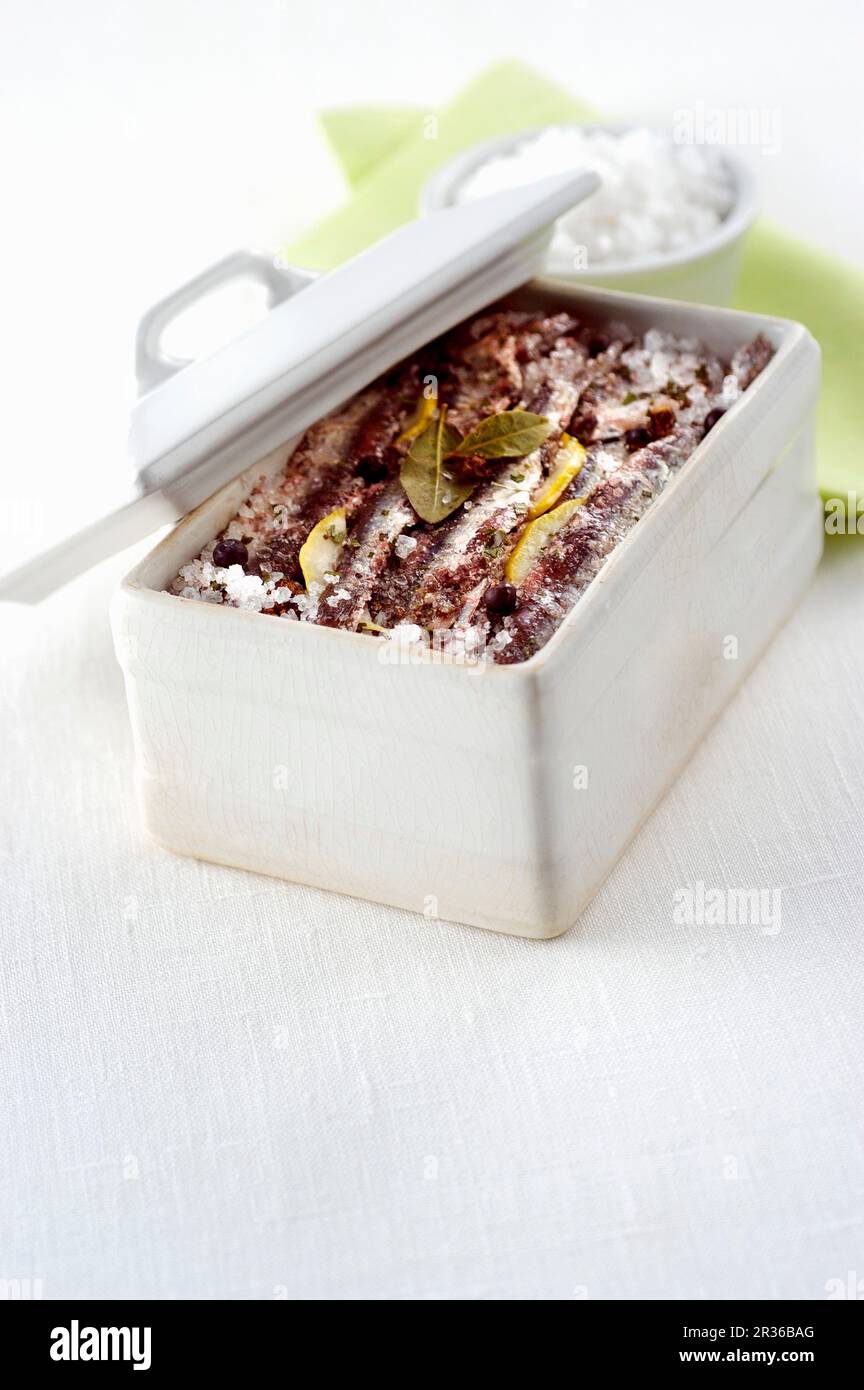 Preserved in salt hi-res stock photography and images - Alamy