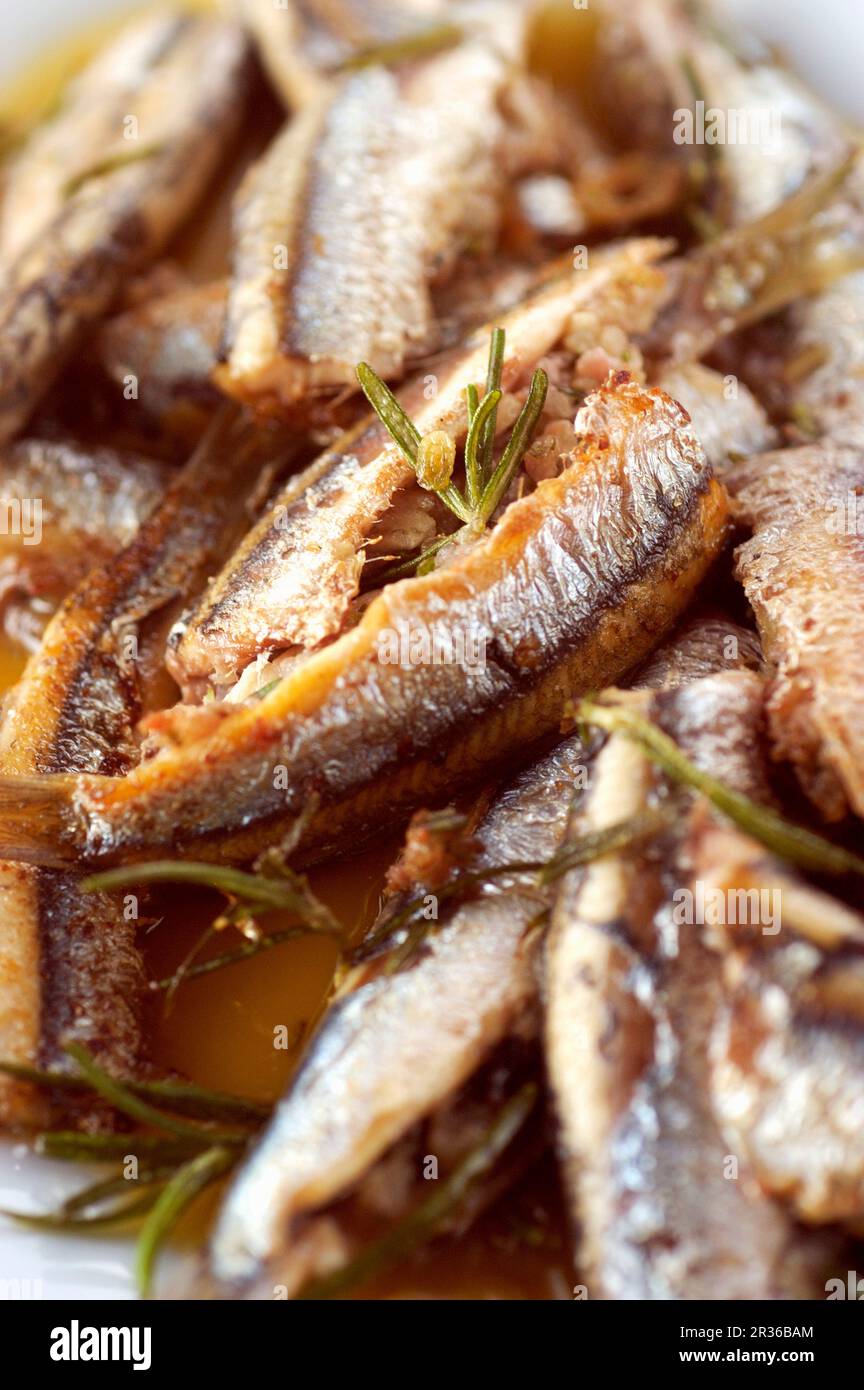 Stuffed anchovies with rosemary Stock Photo - Alamy