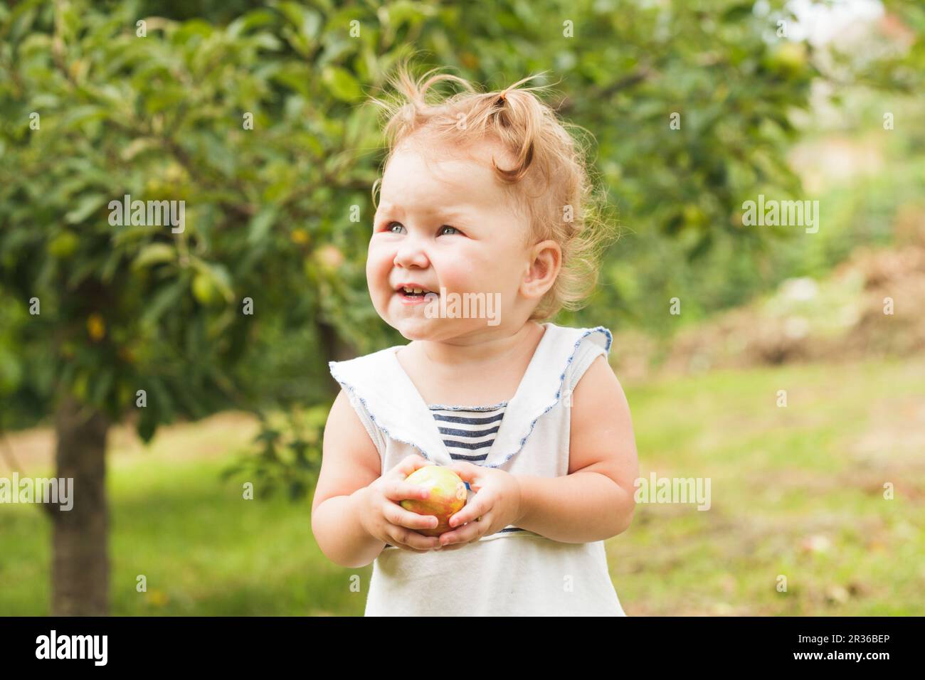 Under apple tree hi-res stock photography and images - Alamy