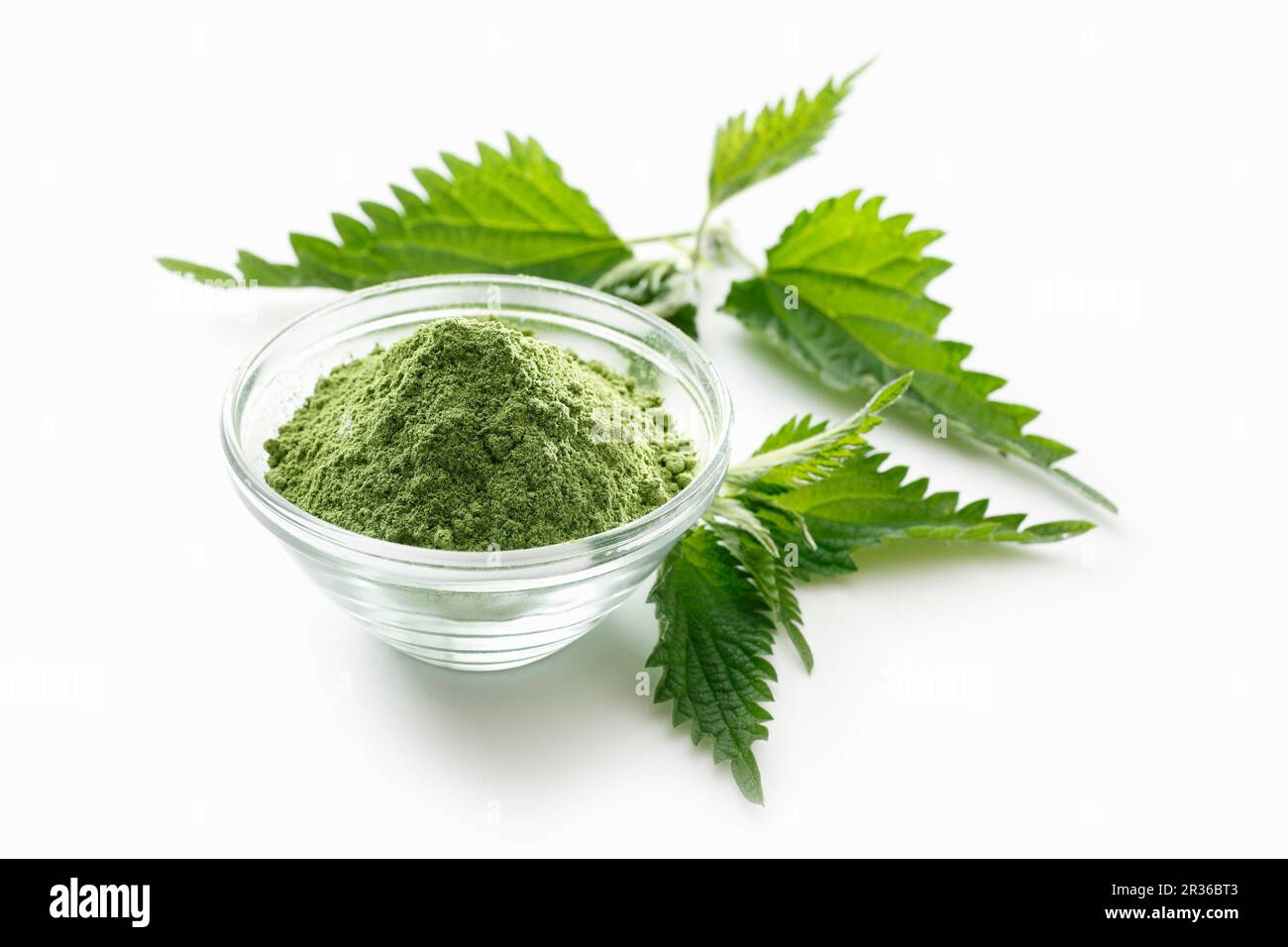 Stinging nettle powder in a glass bowl Stock Photo - Alamy