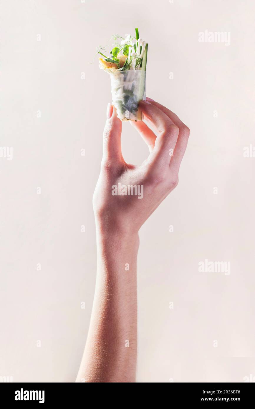 A hand holding a spring roll Stock Photo - Alamy