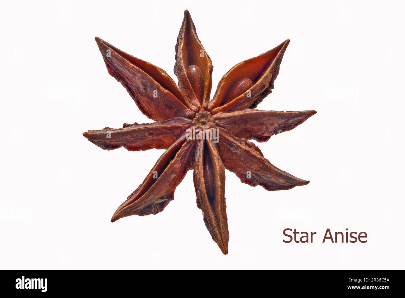 Star pods Cut Out Stock Images & Pictures - Alamy