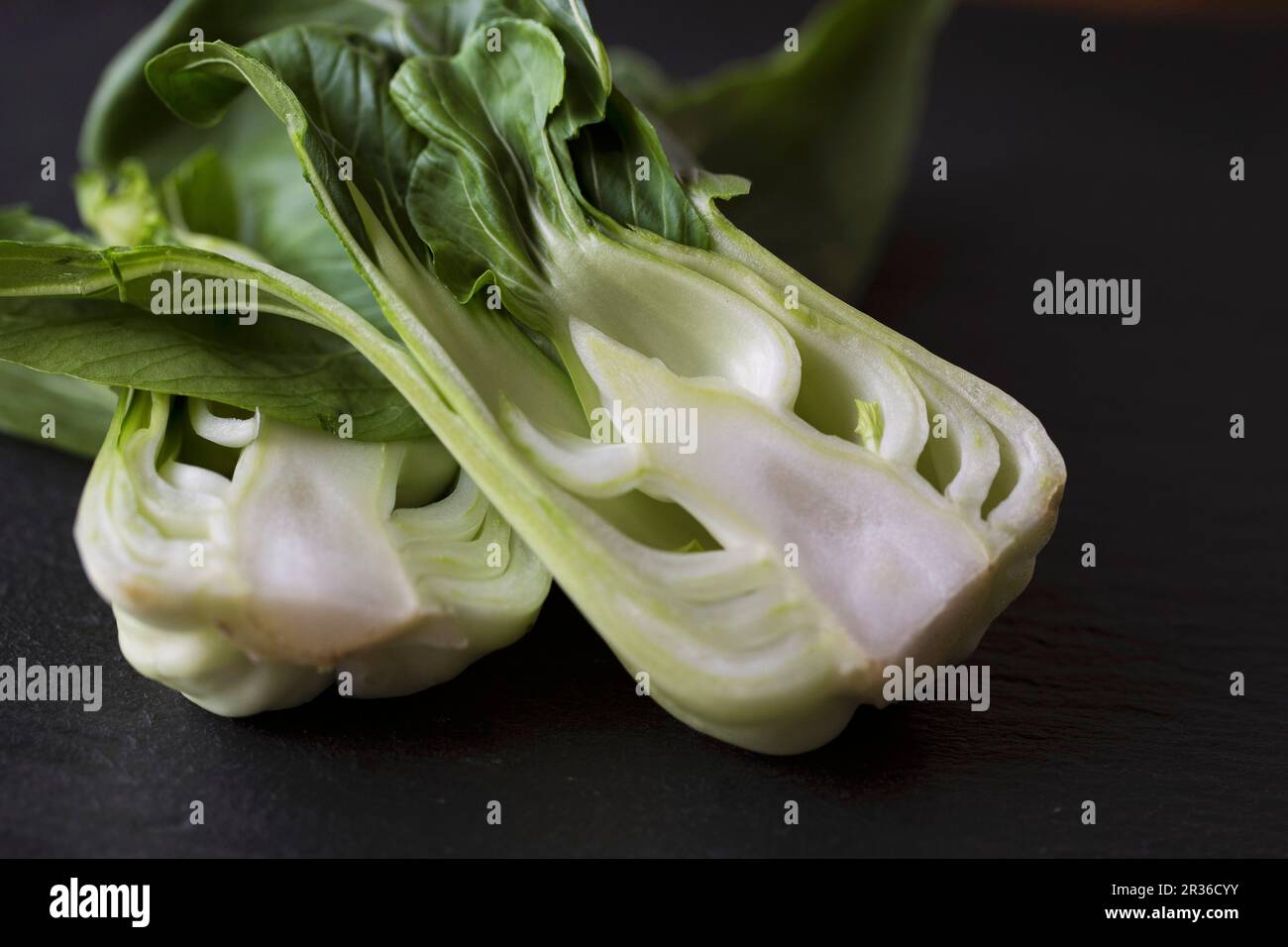 Lengthways hi-res stock photography and images - Alamy