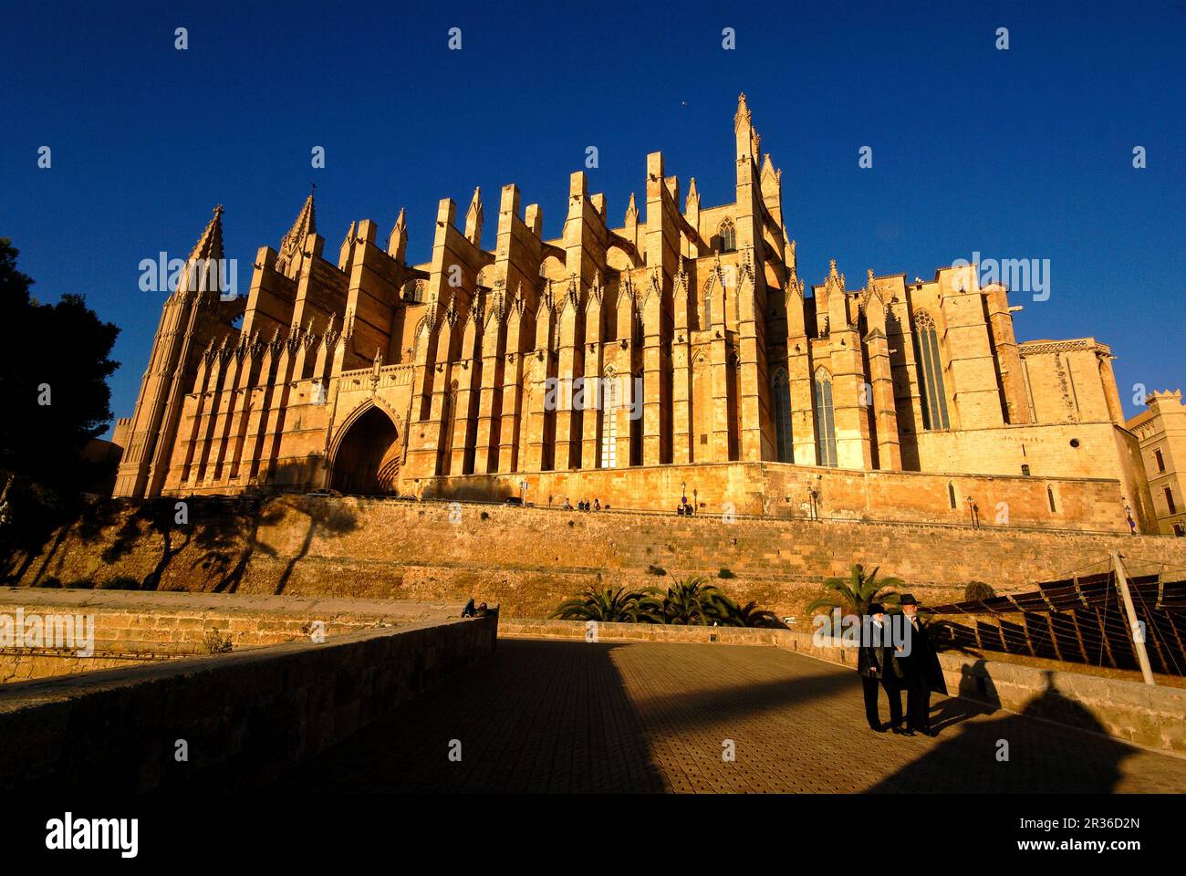 Catedral de la ciudad de palma hi-res stock photography and images - Alamy