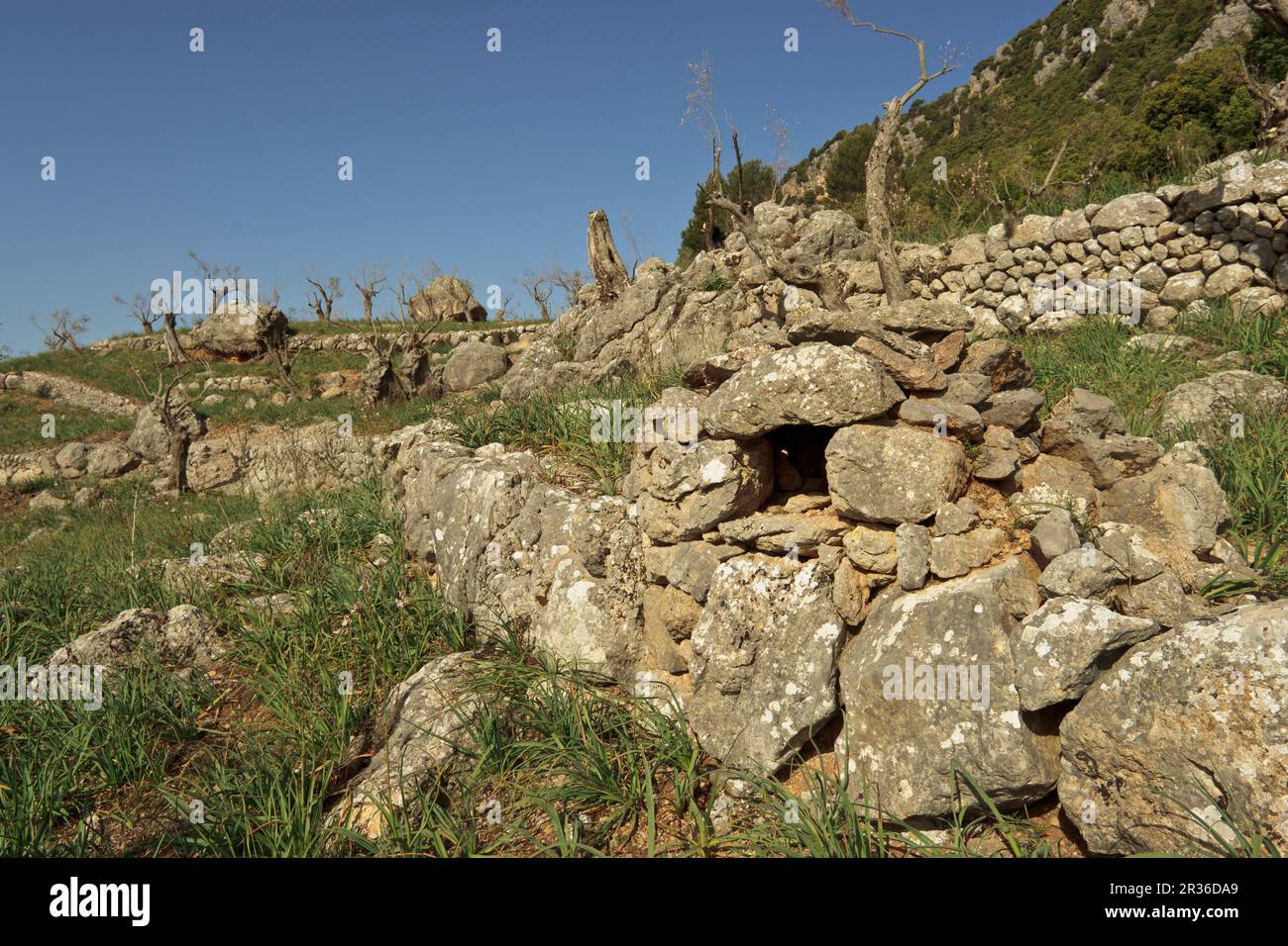 Horno de la naturaleza hi-res stock photography and images - Alamy