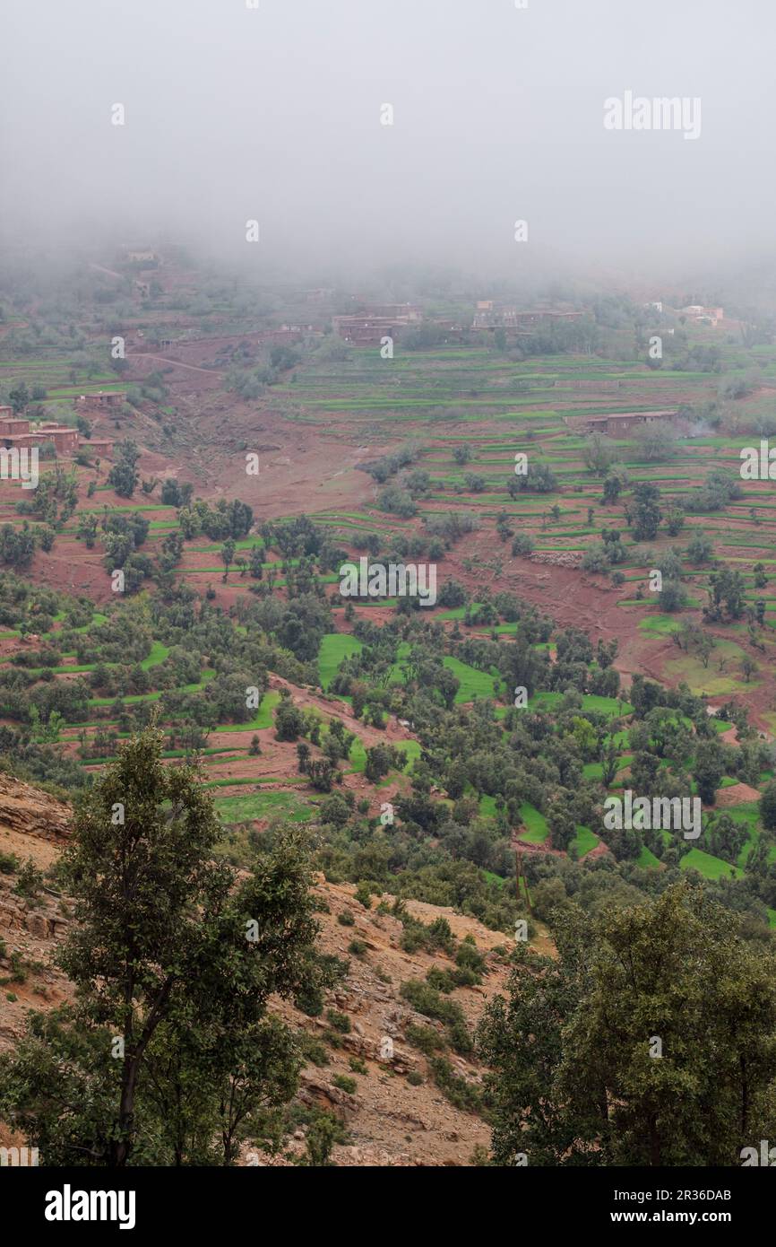typical house and agricultural mountain landscape, Ait Blal, azilal ...