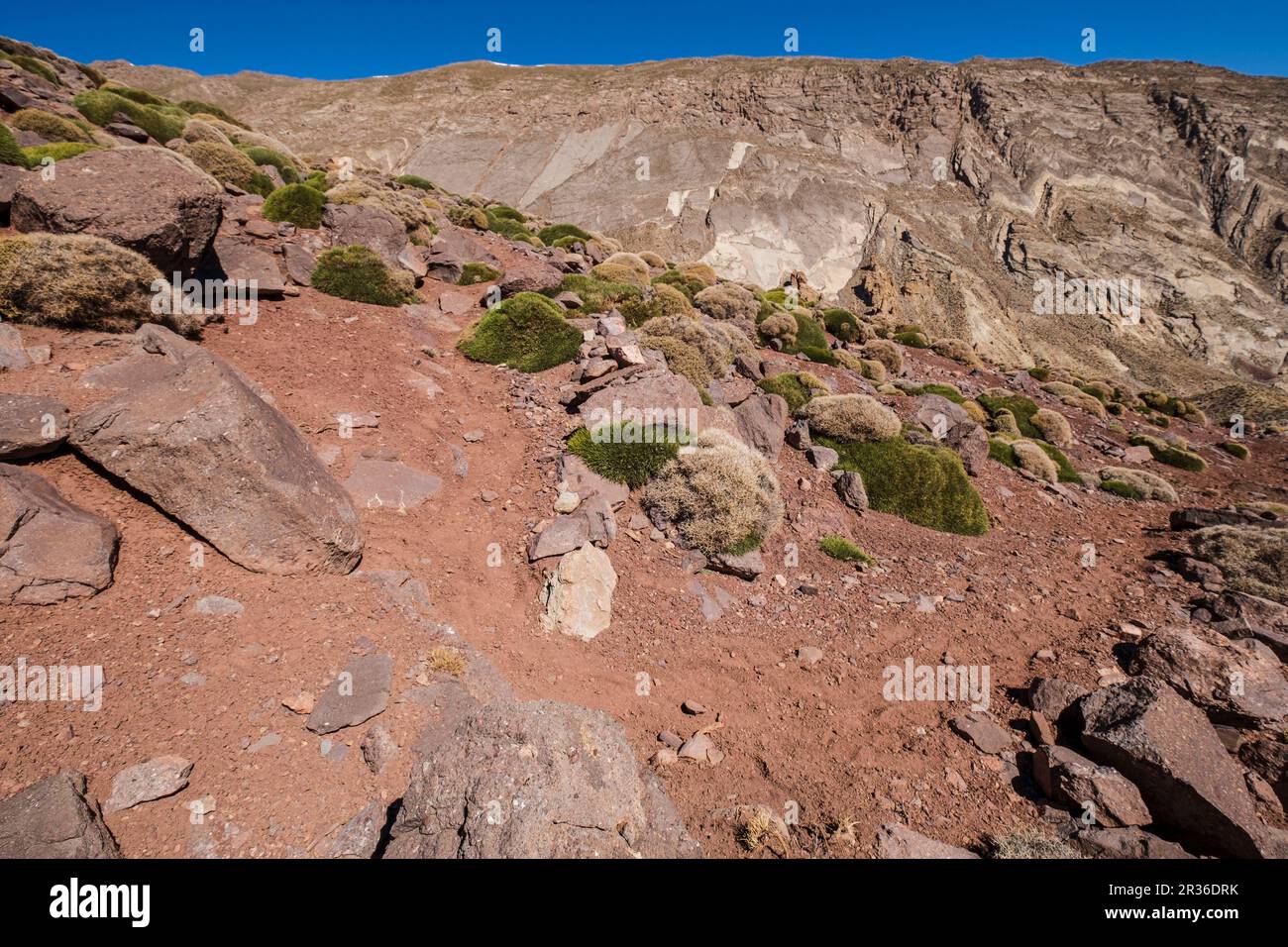 Plateau de Tarkeddit descent towards the Arous gorge, MGoun trek, Atlas ...
