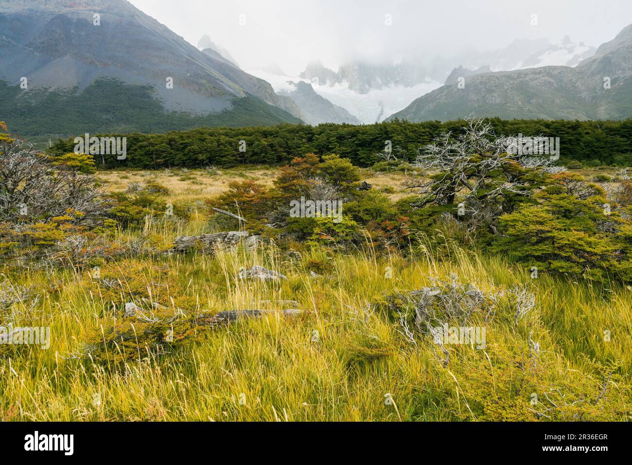 El Chalten, parque nacional Los Glaciares, republica Argentina ...
