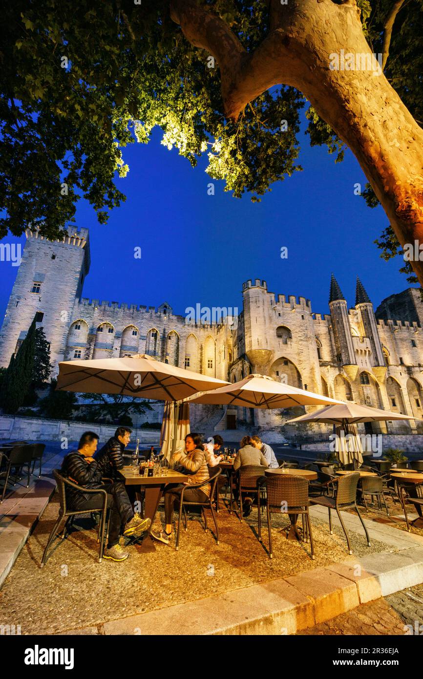 Palacio de los Papas, gotico medieval,Avignon,Francia, Europa Stock ...