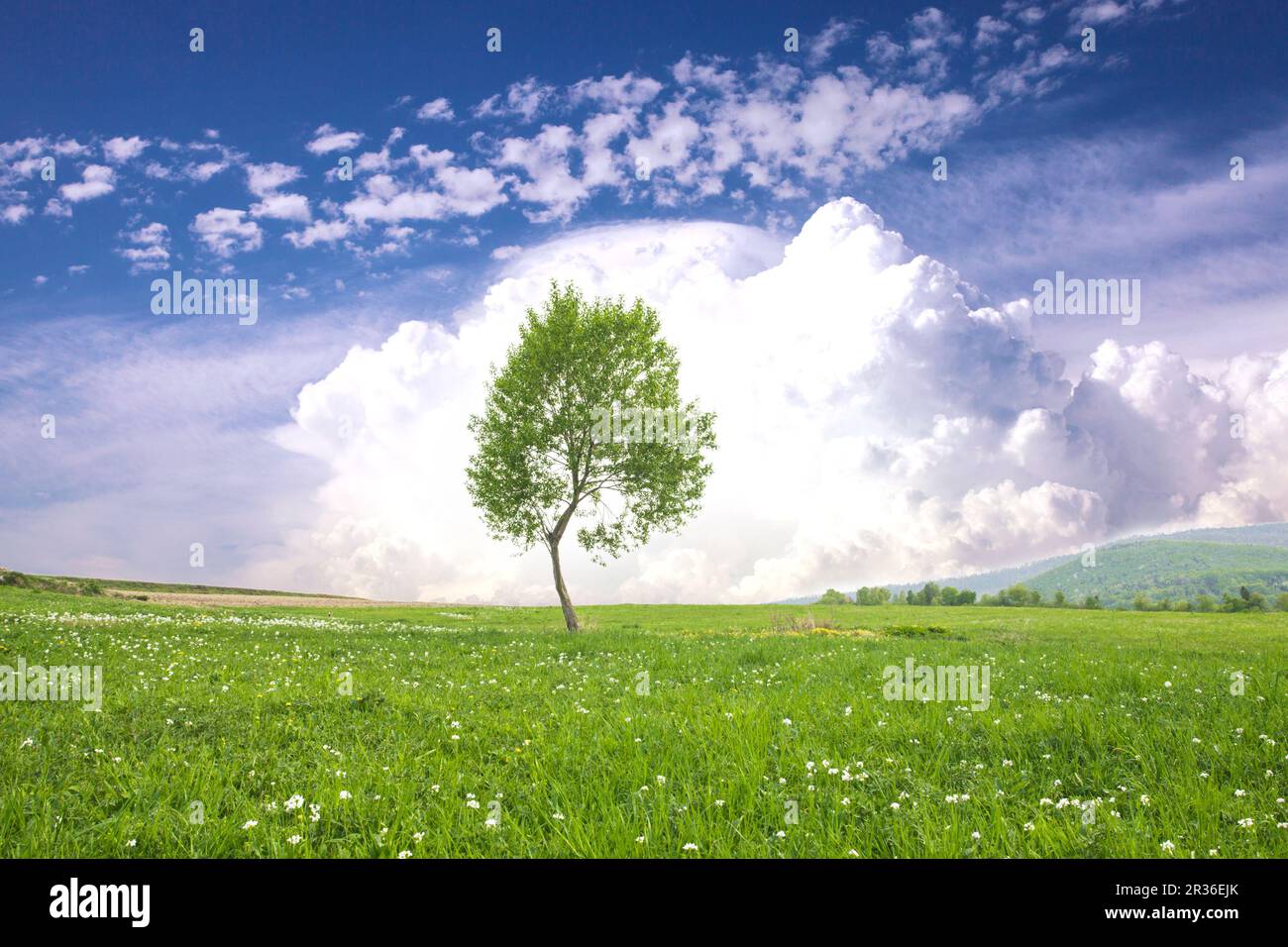 Spring landscapes blue sky hi-res stock photography and images - Alamy