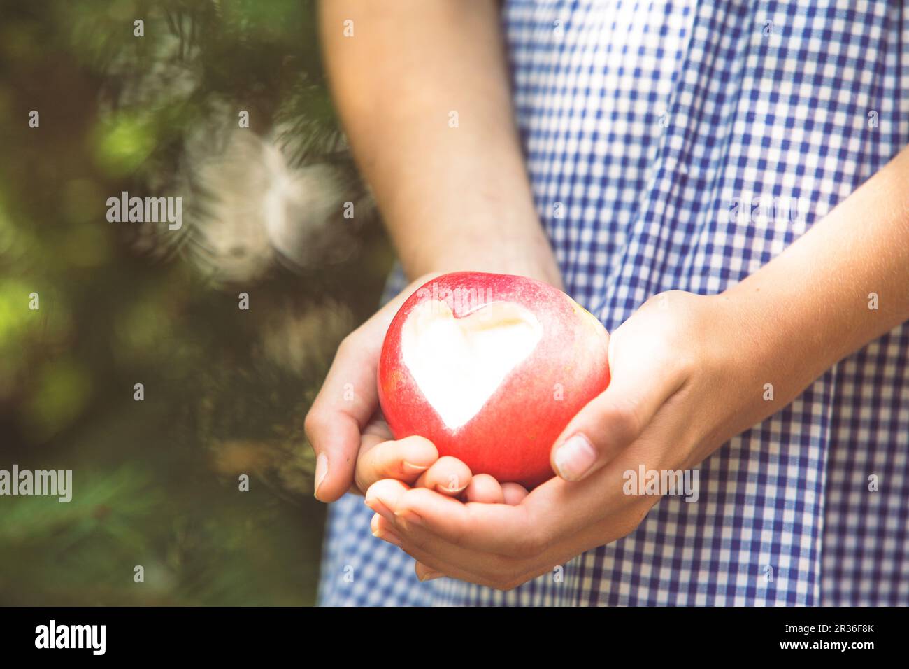 Apple with heart cutout hi-res stock photography and images - Alamy