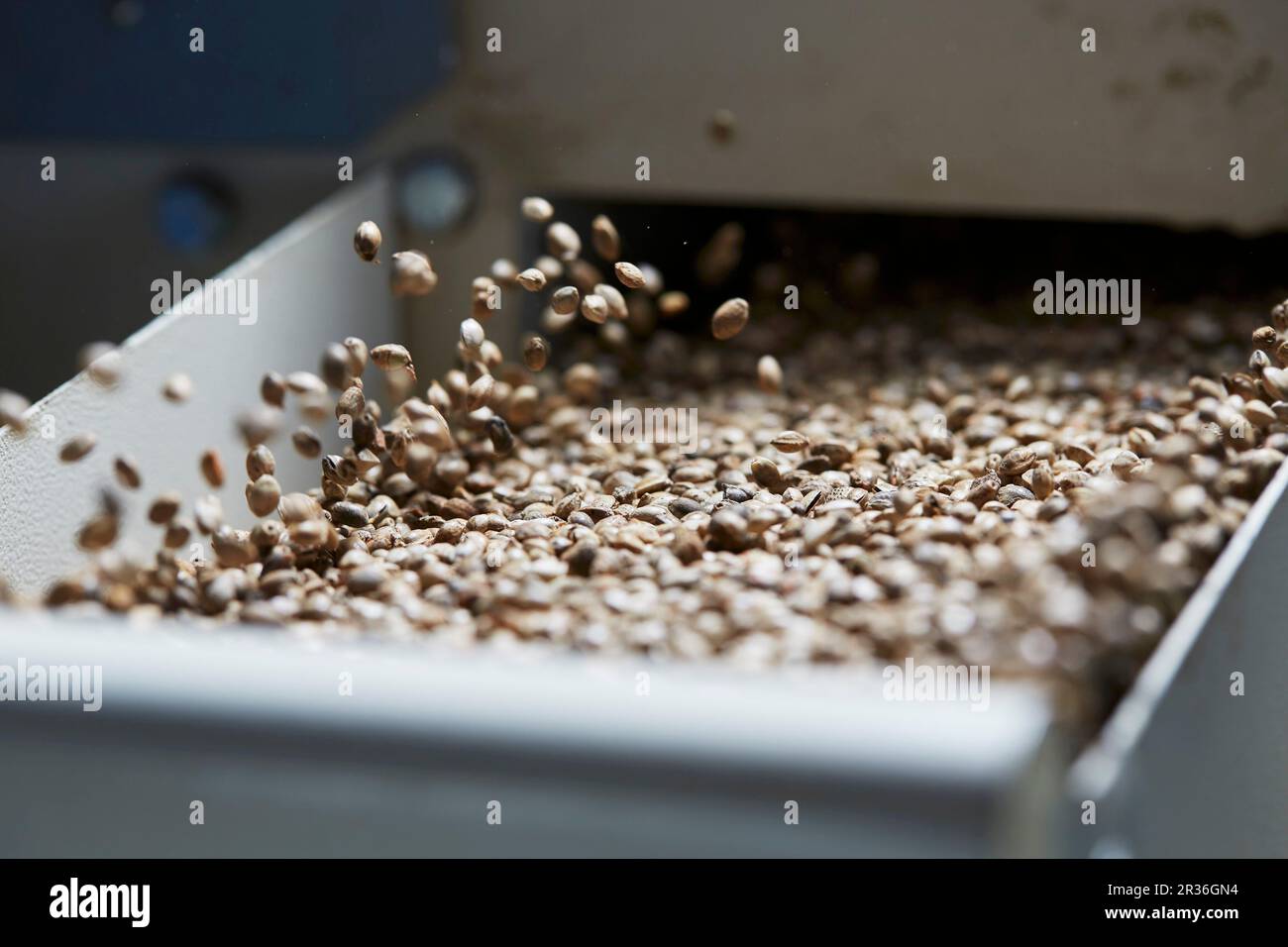 Hemp cleaning machine hi-res stock photography and images - Alamy