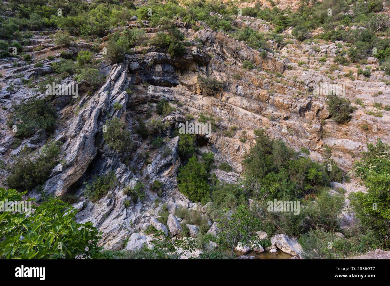 pliegue del rio Borosa, Los Caracolillos, ruta del rio Borosa, parque ...