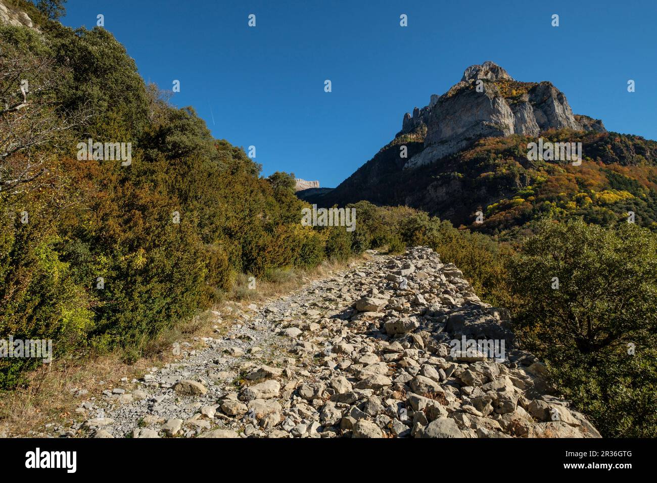 Ancient roman architecture diagram hi-res stock photography and images ...